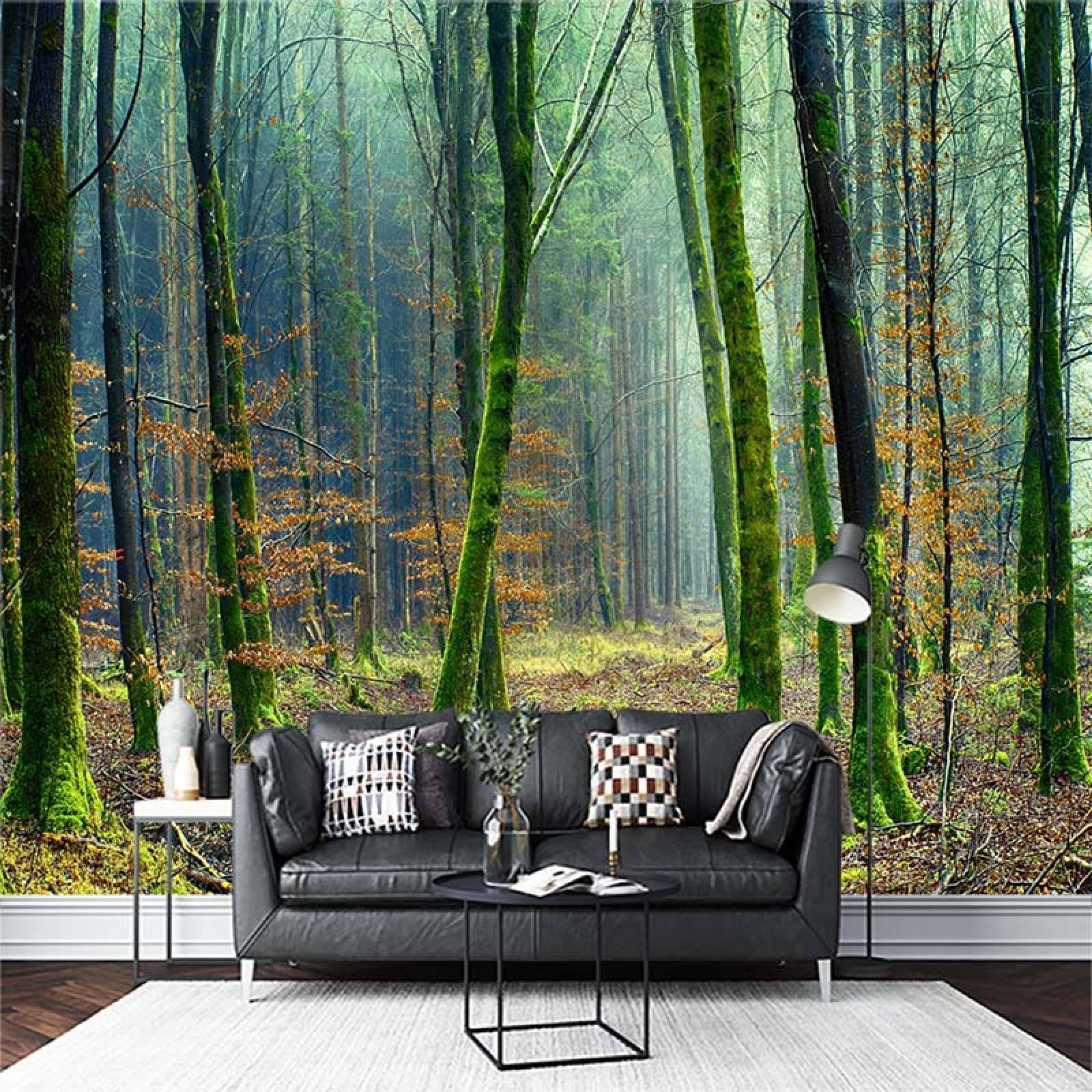 Beautiful Forest Wallpaper Enchanting Wallpaper 4K, Autumn Forest,