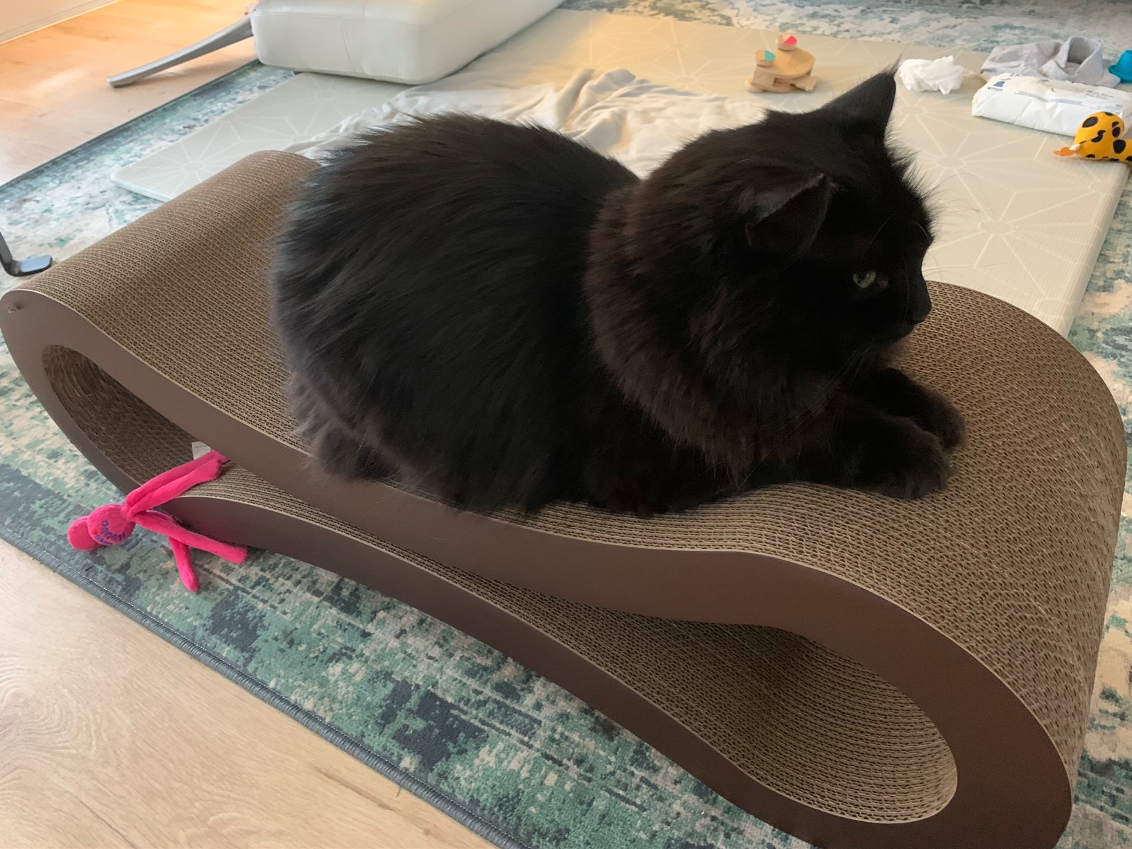 PetFusion Ultimate Cat Scratcher Lounge, Reversible Infinity Scratcher ...