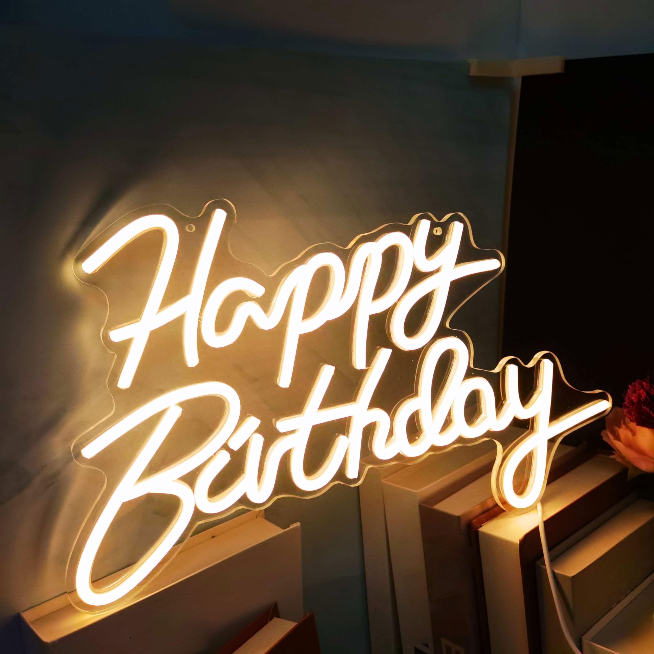 Amazon.com : Happy Birthday Neon Sign With USB Plug, Happy Birthday ...