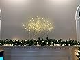 Amazon.com : Raz 30 Inch Lighted Birch Grove NEW with Twinkle Lights ...