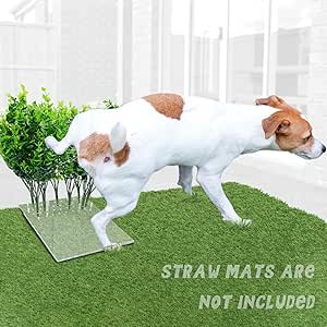 Amazon.com : Sysmashing 8Pcs Fake Grass Plants Pee Post for Dogs to Pee ...