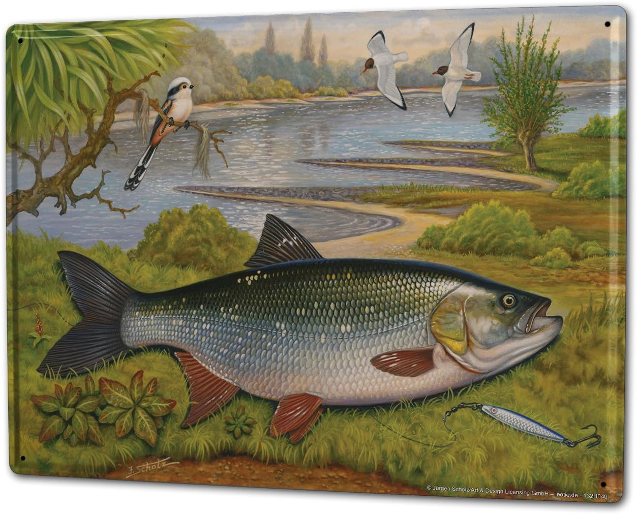 Plaque en emaillee Scholz poisson asp marine poissons prédateurs ...