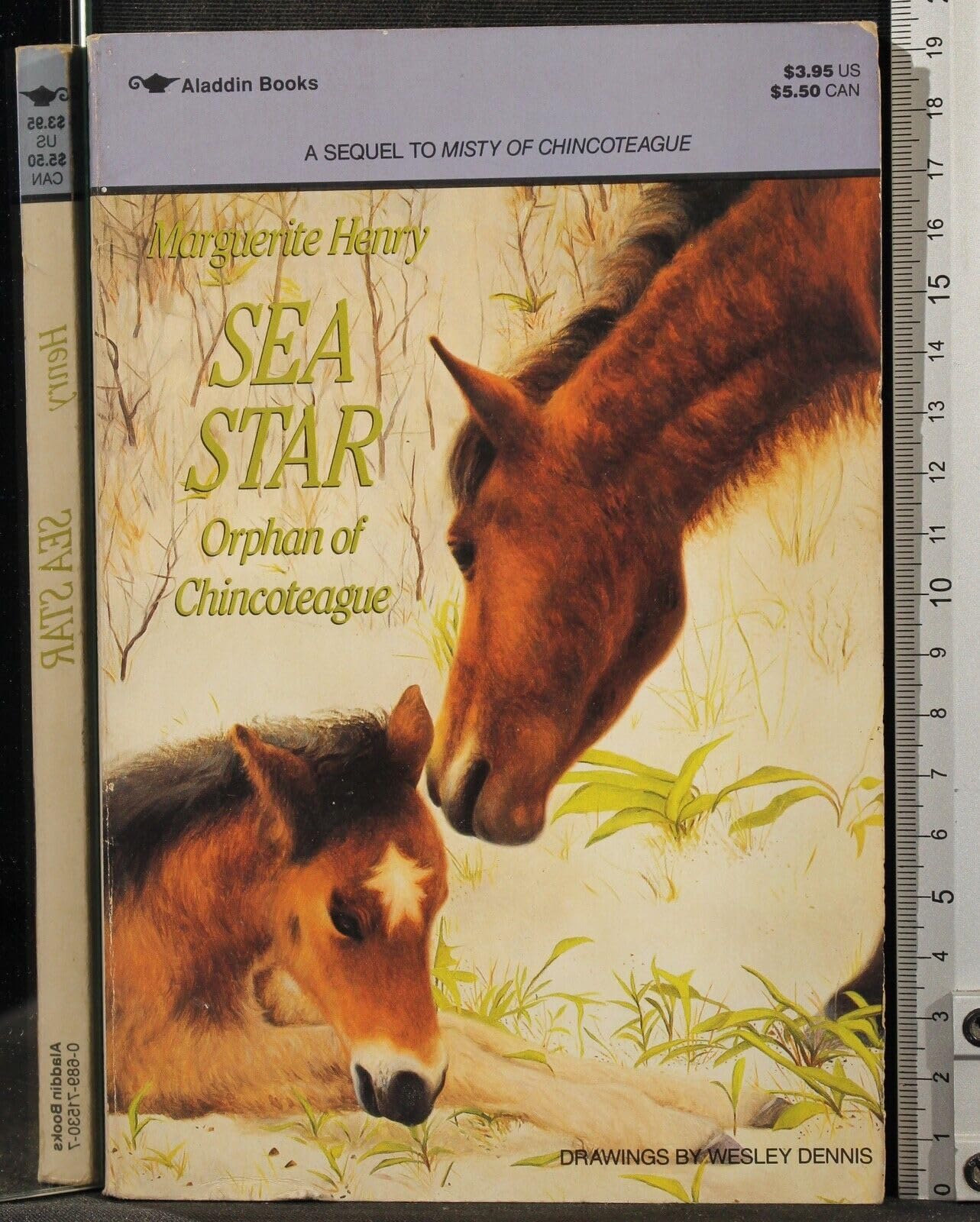 Sea Star: Orphan Of Chincoteague: Henry, Marguerite, Dennis, Wesley ...