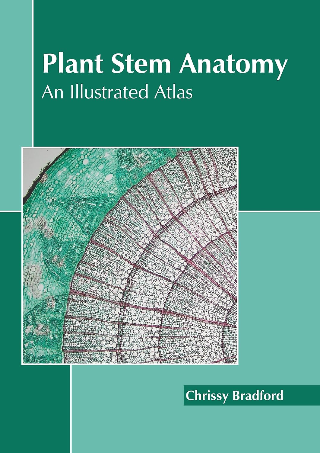 Amazon | Plant Stem Anatomy: An Illustrated Atlas | Bradford, Chrissy ...