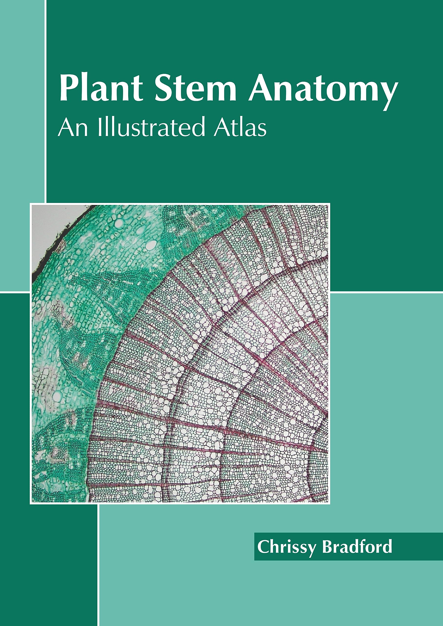 Plant Stem Anatomy: An Illustrated Atlas: Bradford, Chrissy ...