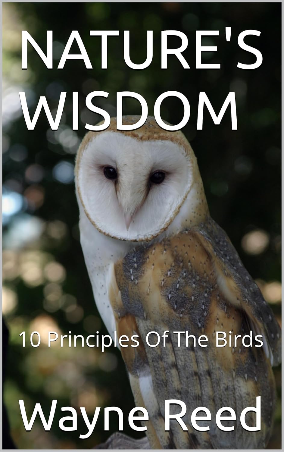 NATURE'S WISDOM : 10 Principles Of The Birds (NATURE'S WAY Book 2 ...