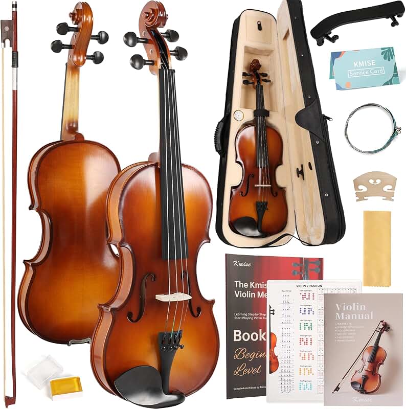Amazon.ca: Violin