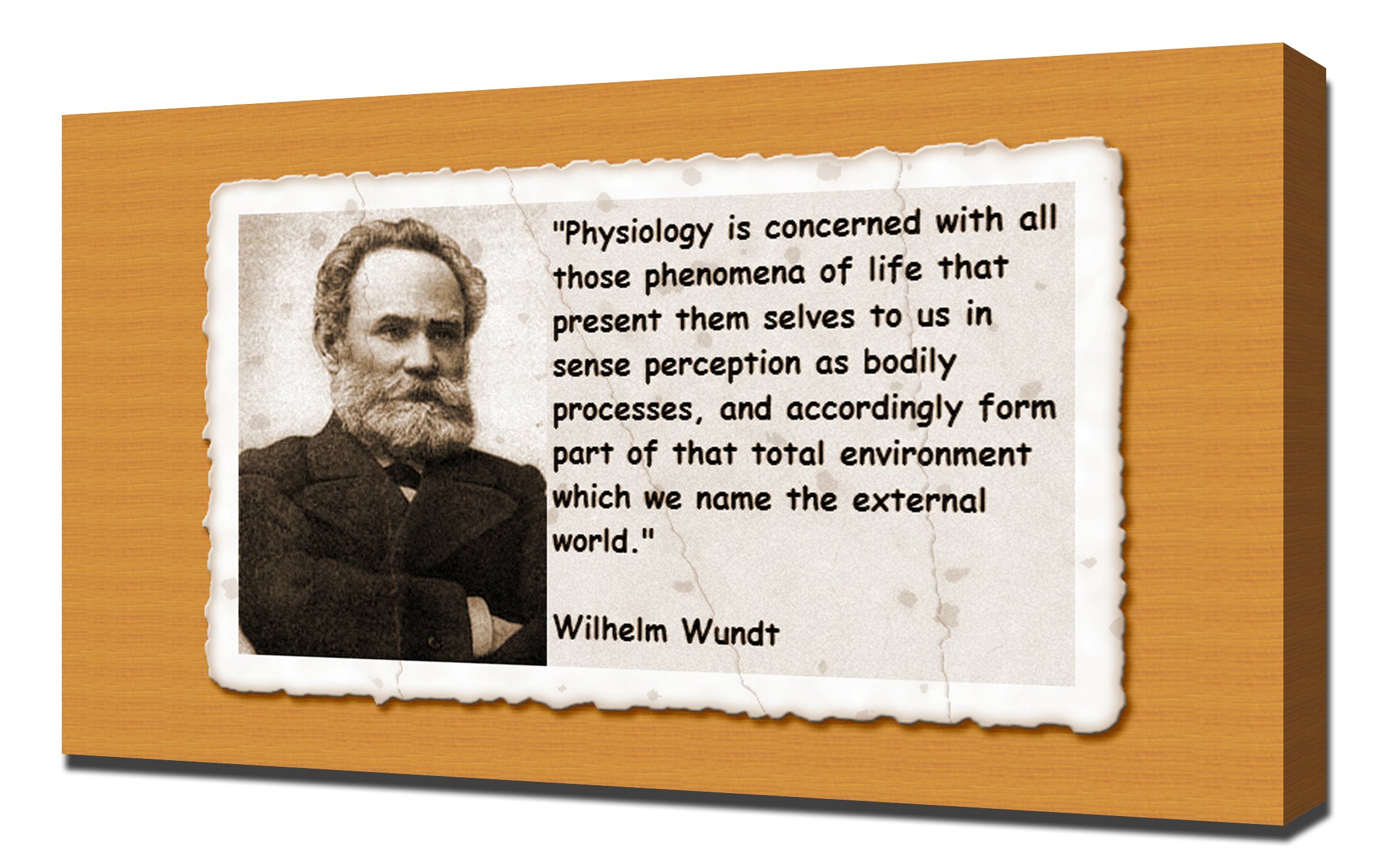 Wundt Quotes Life Quotes : Fyp Psychology: Major Schools Of Thought