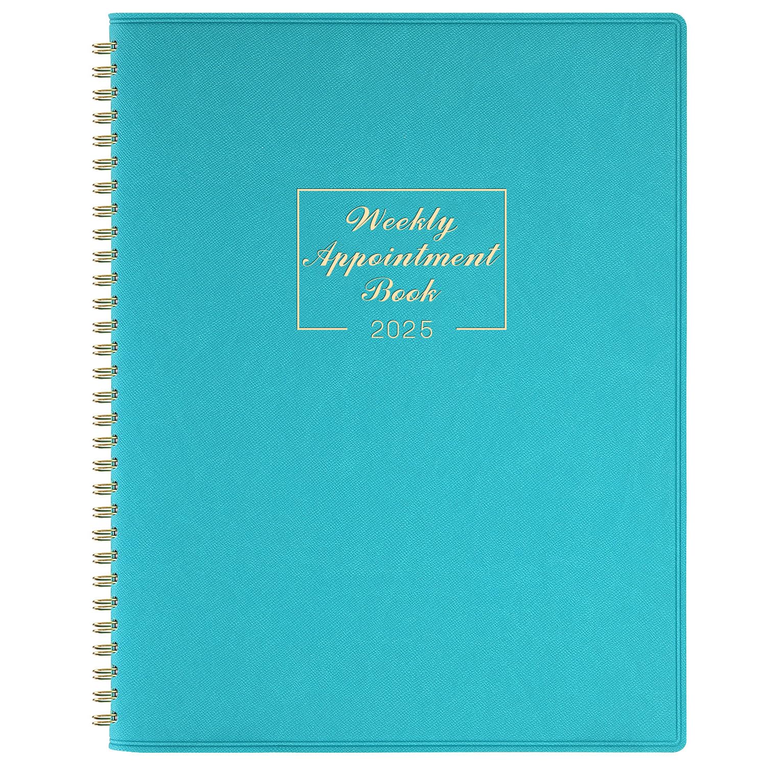 2025 Weekly Appointment Book Jan 2025 Dec 2025 Daily Hourly ...