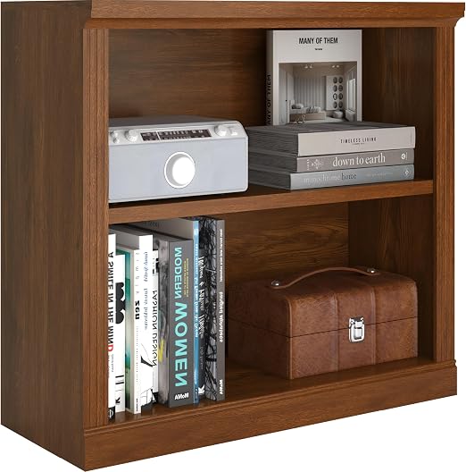 Amazon.com: Zhiseek 2-Tier Bookshelf Basic Book Case, Wooden Storage ...