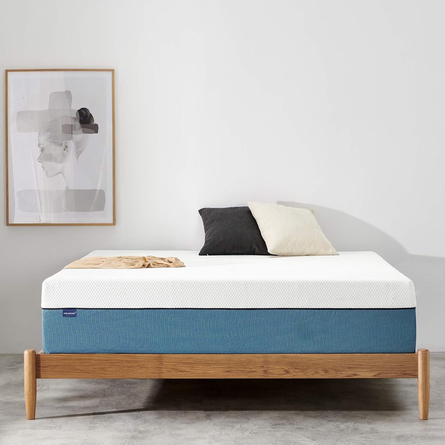 Amazon.com: IYEE NATURE Queen Firm Mattress 12 inch Mattresses ...