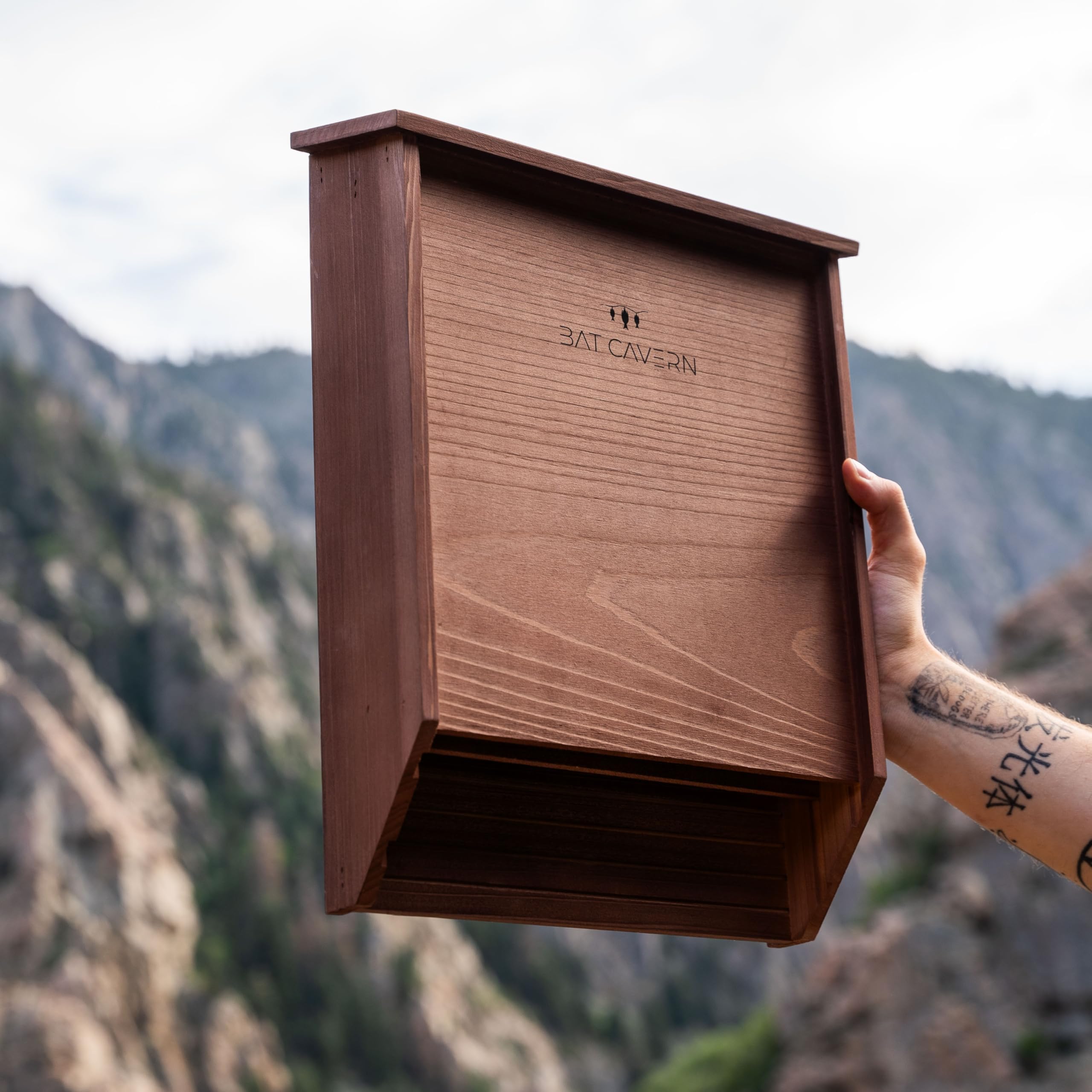 Amazon.com: Bat Cavern- A Modern Cedar Bat House for Outdoors - This ...