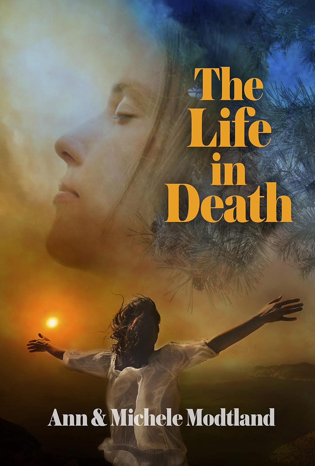 The Life in Death - Kindle edition by Modtland, Ann, Modtland, Michele ...