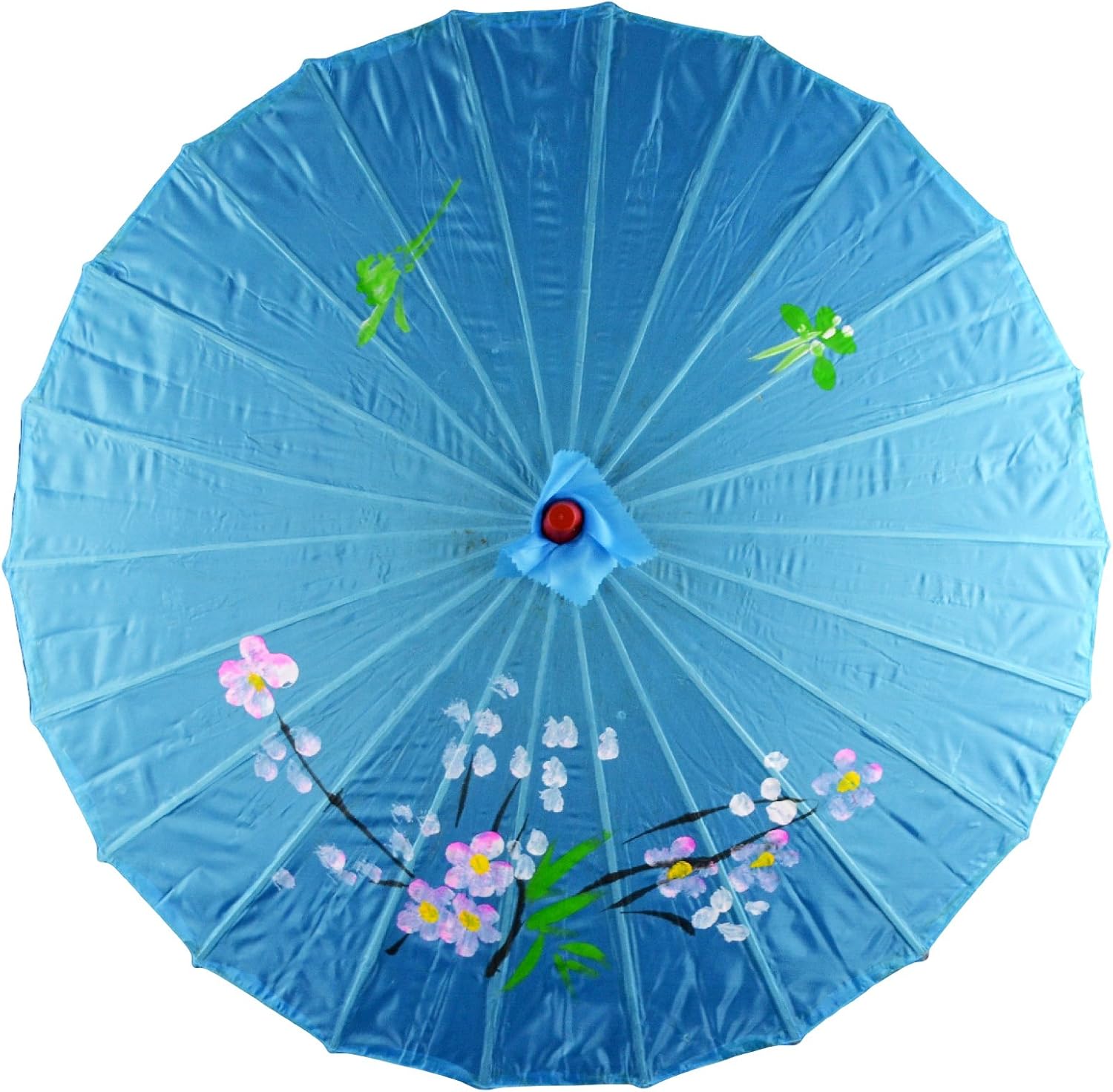 Amazon.com : Festcool Asian Parasol Umbrella Fabric Hand-painted ...