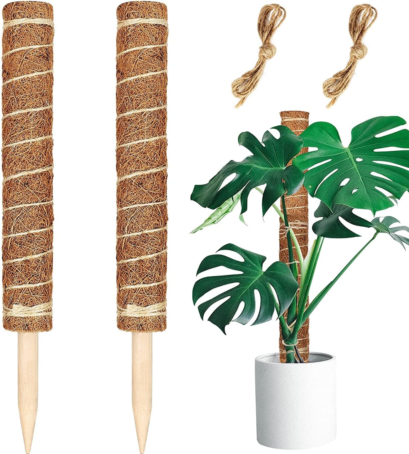 4 Pcs Tutor para Plantas 64CM de Poste de Musgo Flexible para Plantas ...