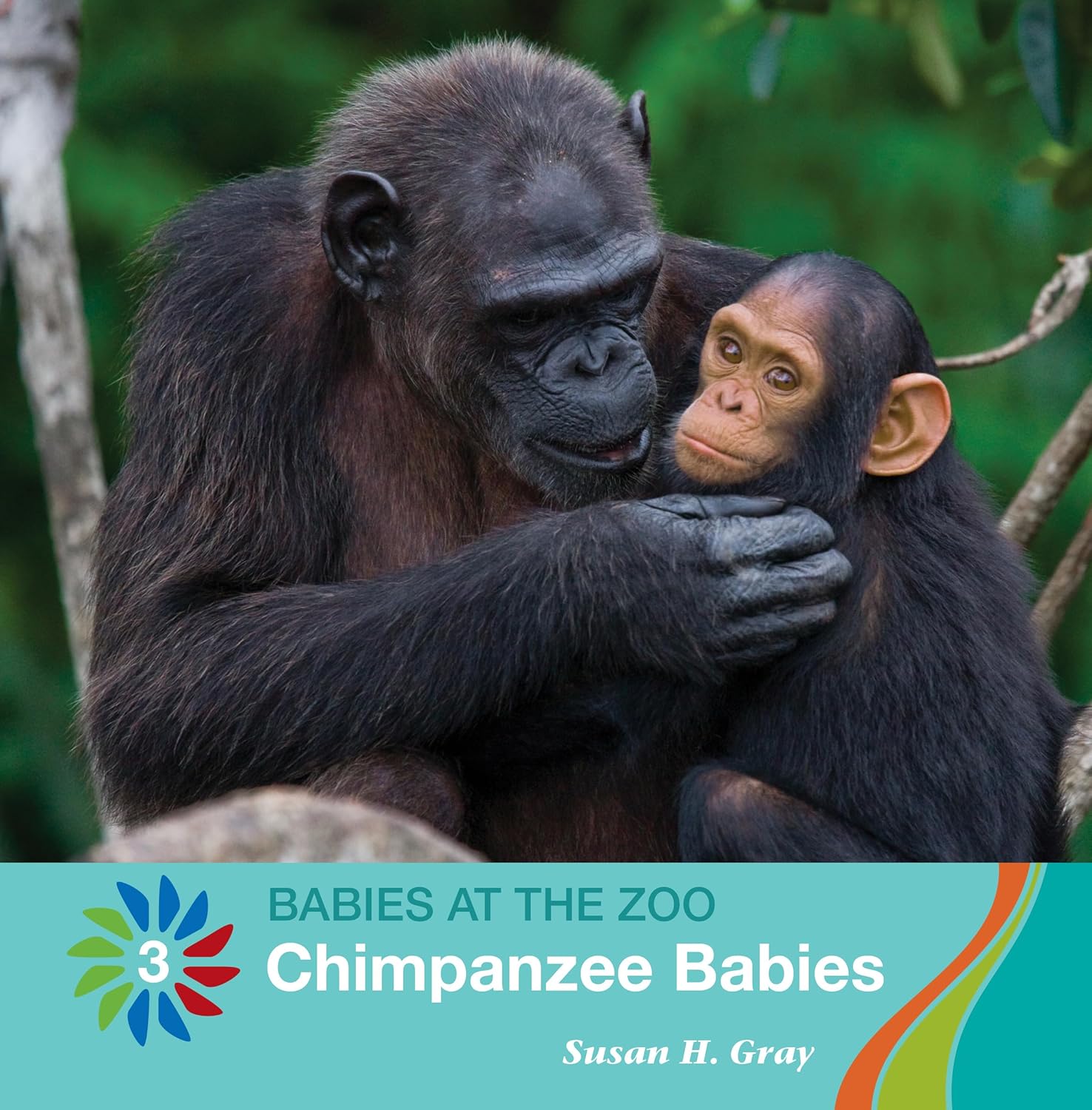 Chimpanzee Babies (21st Century Basic Skills Library: Level 3: Babies ...