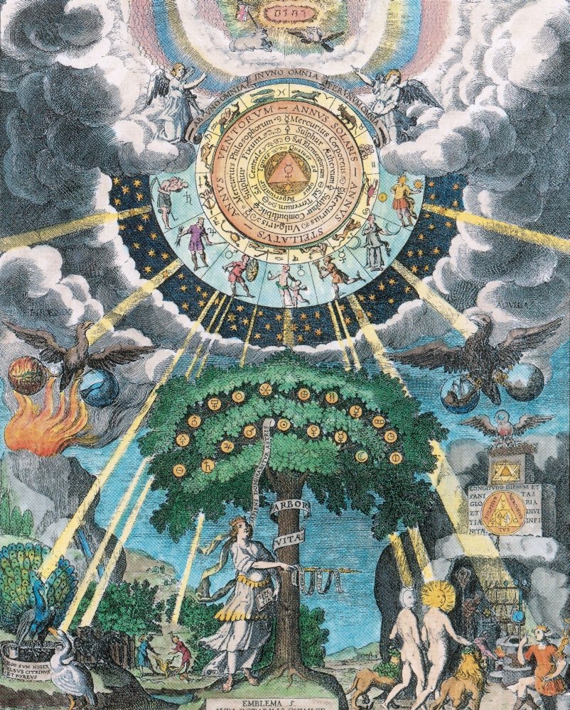 Amazon.com: Posterazzi Alchemy Tree of Life Poster Print by Science ...