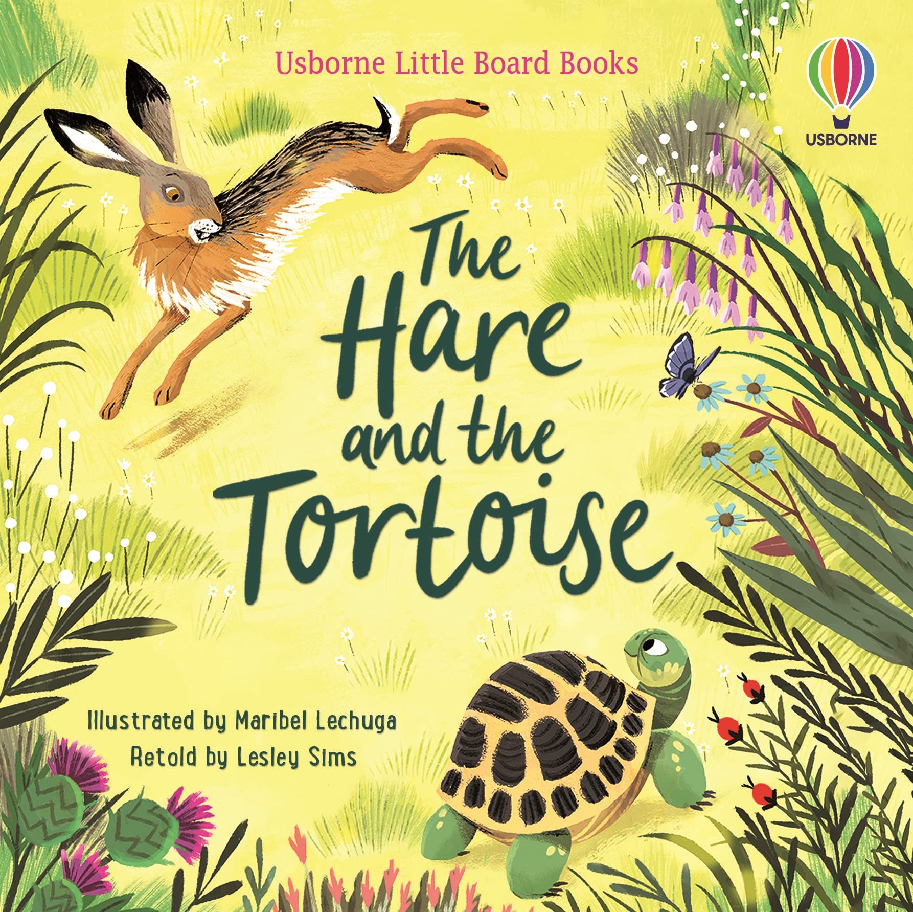 Snapklik.com : The Hare And The Tortoise