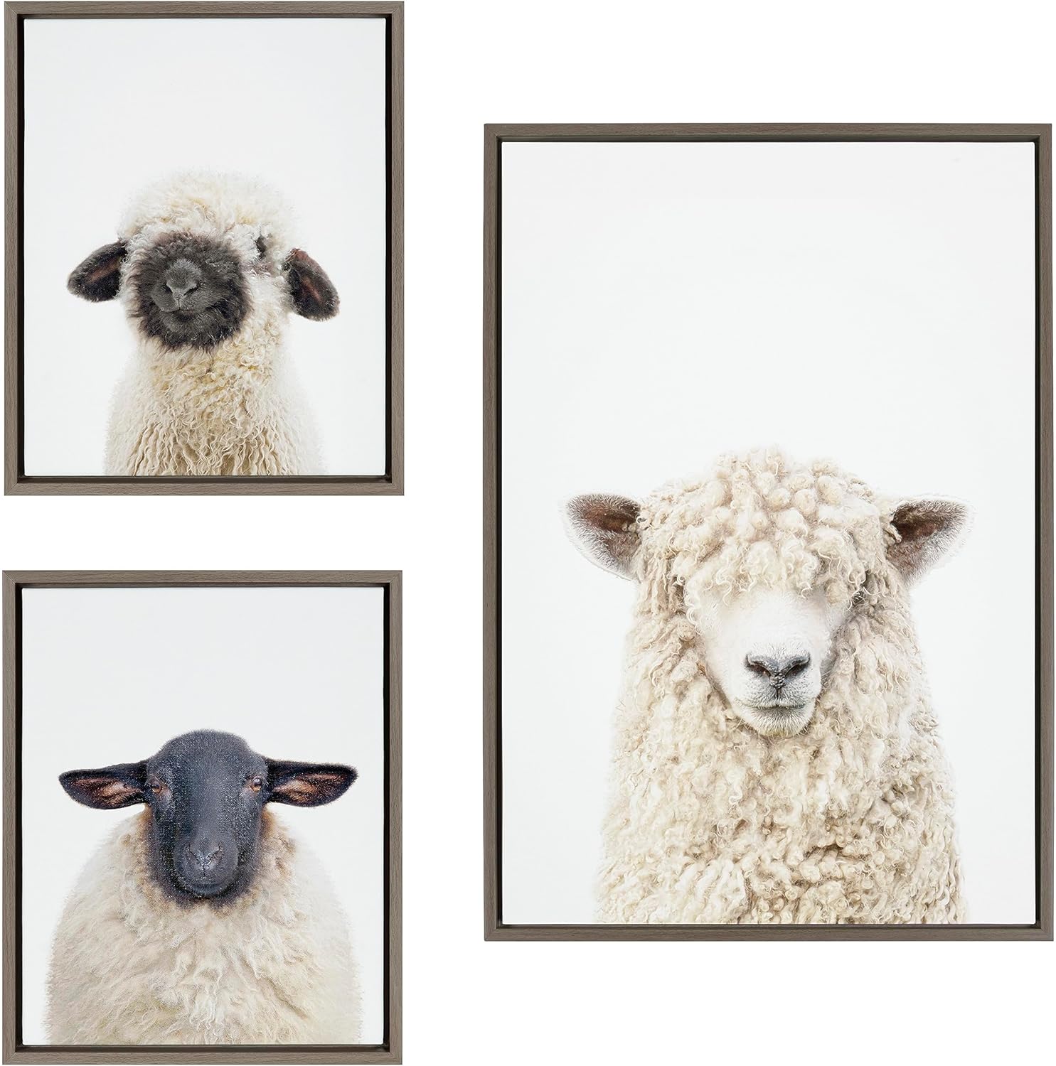 Amazon.com: Kate and Laurel Sylvie Sheep Bangs Portrait, Animal Studio ...