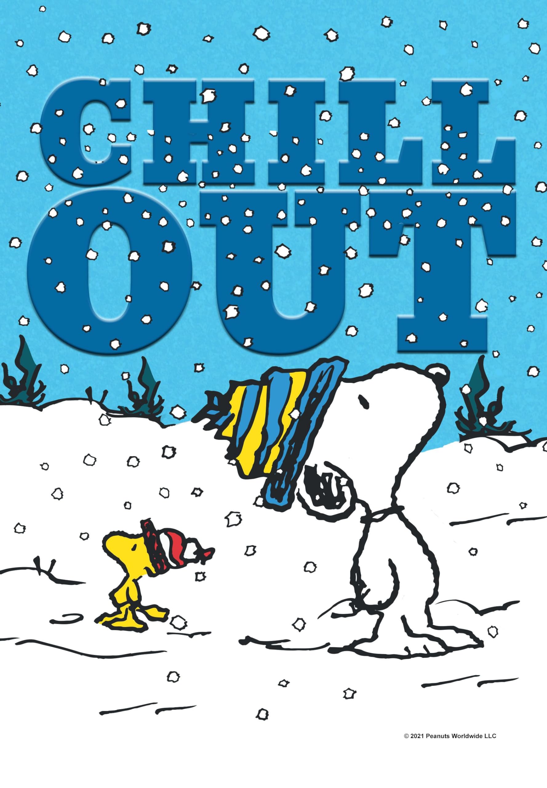 Amazon.com: BACKYARD GLORY PEANUTS Chill Out Winter House Flag, 28" x ...