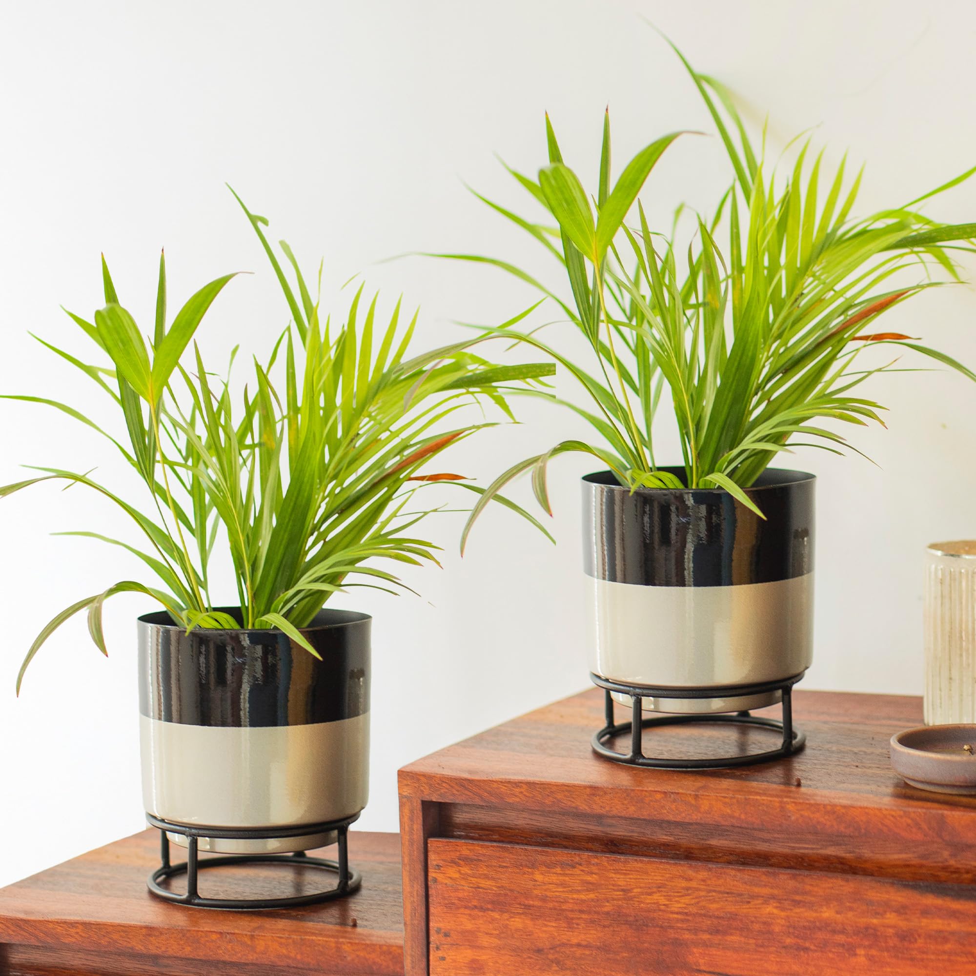 Kraft Seeds by 10CLUB Decorative Metal Planter with Stand | Planter ...