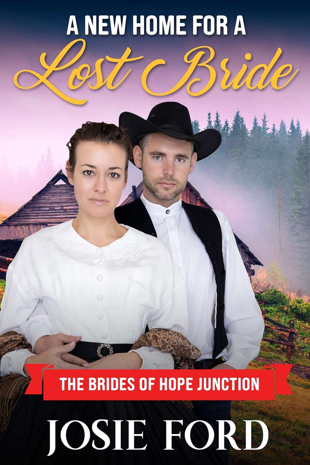 Amazon.com: A New Home For A Lost Bride: The Brides Of Hope Junction ...