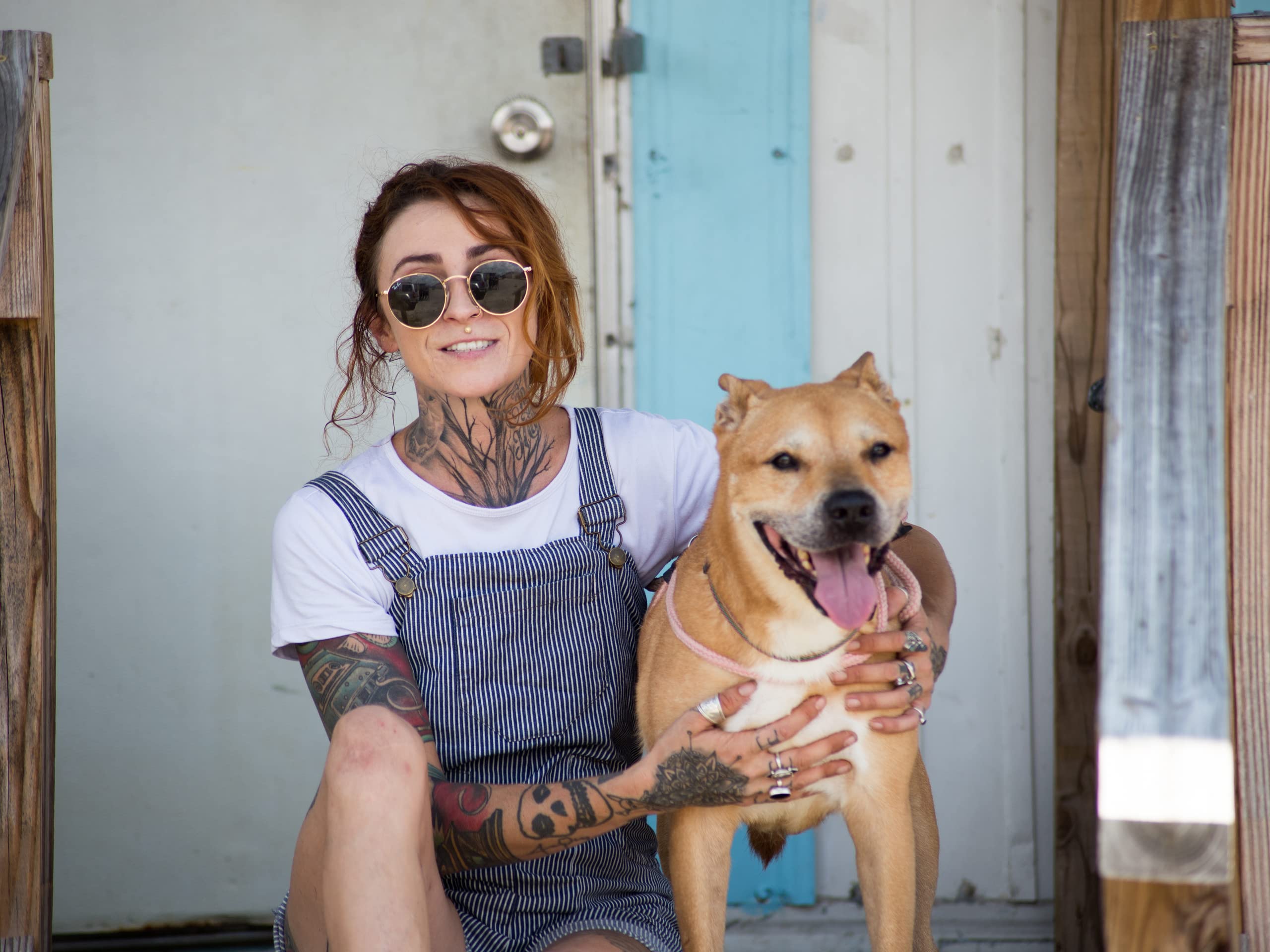 Amazon.de: Pitbulls auf Bewährung - Season 13 ansehen | Prime Video