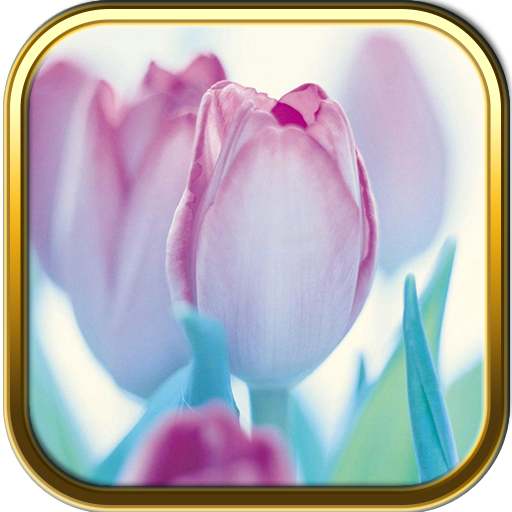 Free Purple Flowers Jigsaw Puzzle Games - App on the Amazon Appstore