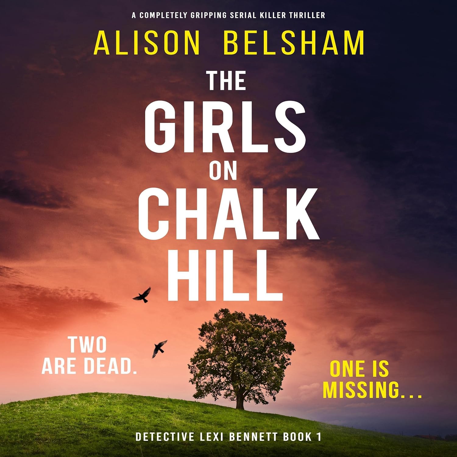 Amazon.com: The Girls on Chalk Hill: Detective Lexi Bennett, Book 1 ...