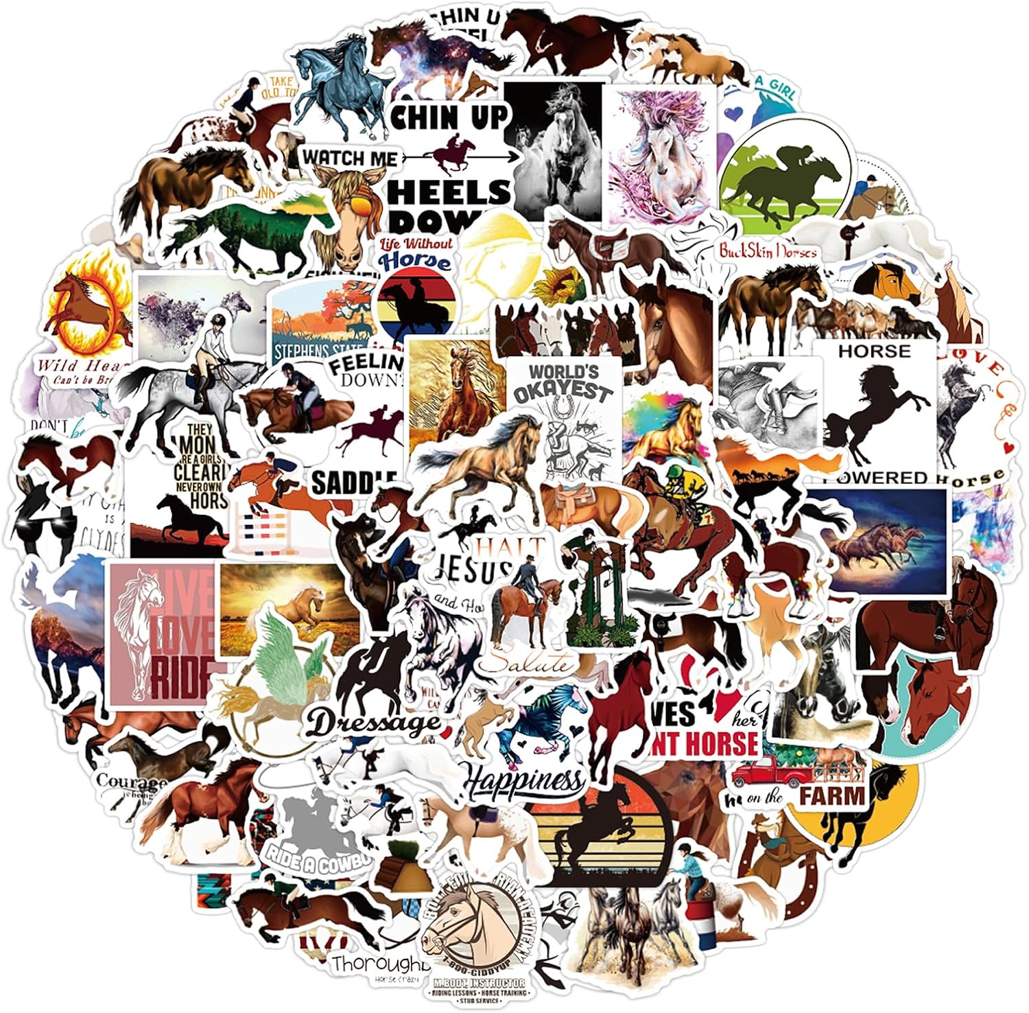 Amazon.com: Horse Stickers 100Pcs Horse Riding Stickers for Kids Teens ...