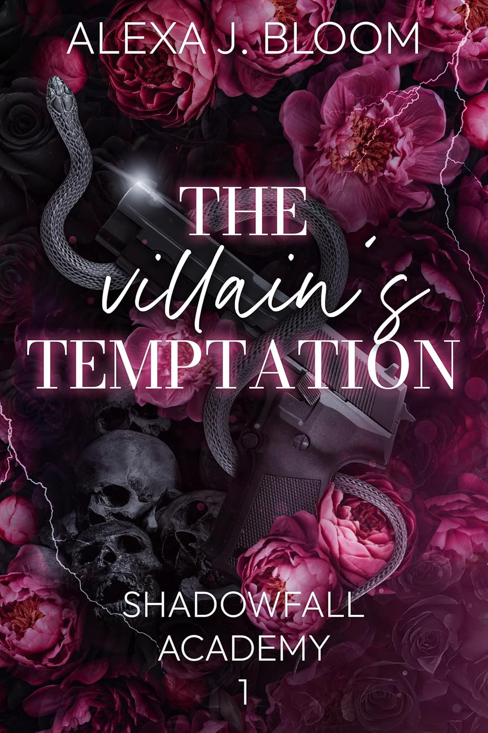 The Villain's Temptation – (Dark Romance, Masked Man, Breath Play, Fake ...
