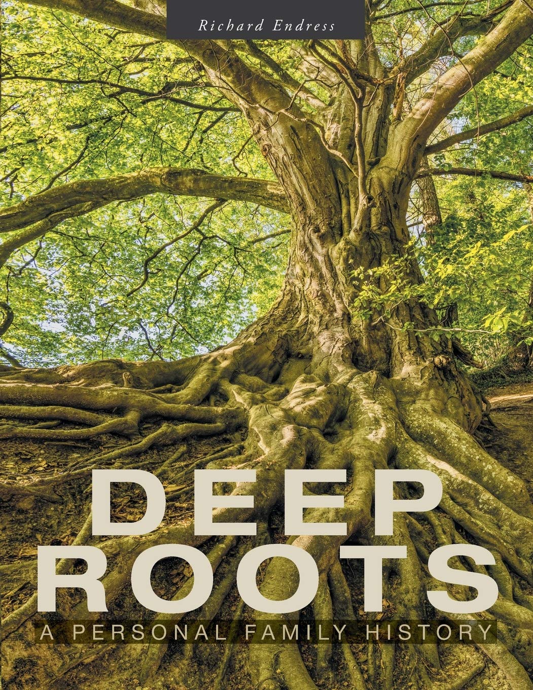 Deep Roots: A Personal Family History: Endress, Richard: 9781525543760 ...