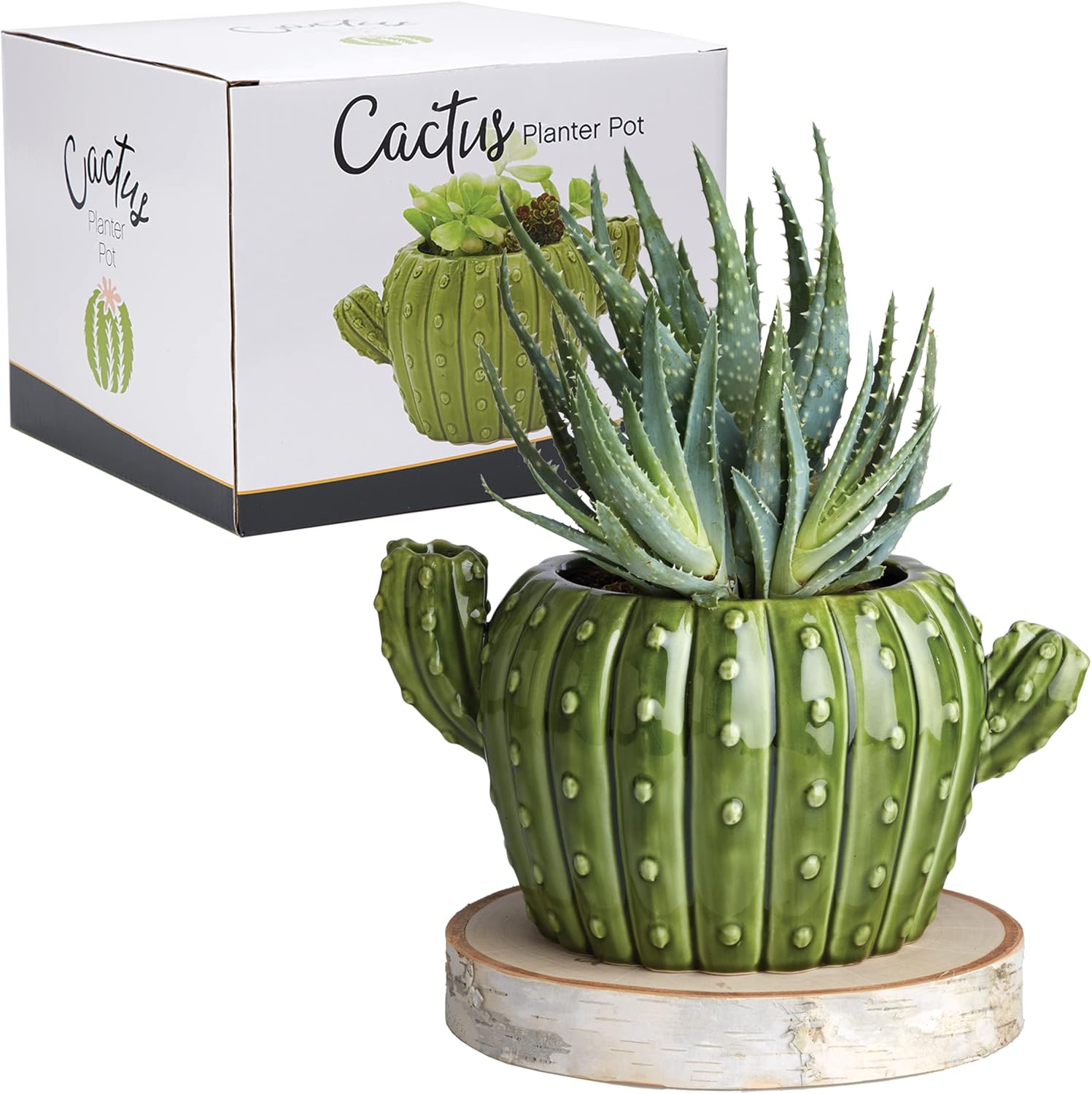 Amazon.com: Streamline Imagined Ceramic Cactus Flower Planter Pot ...