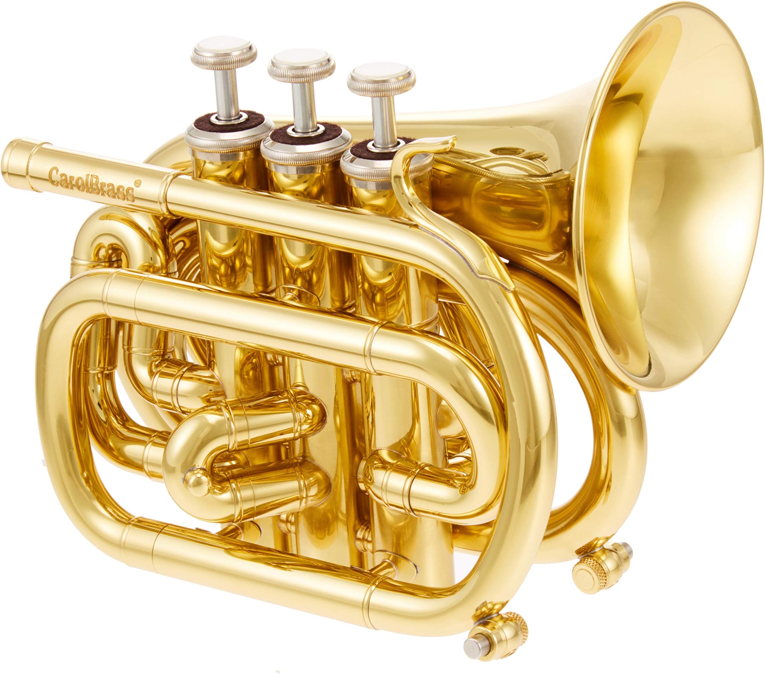 Amazon.com: Carol Brass Mini Pocket Trumpet [N1000 CL] Yellow Brass ...