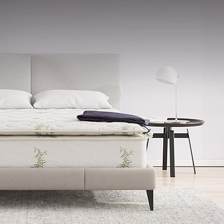 Amazon.com: Signature Sleep Contour 8" Reversible Mattress ...