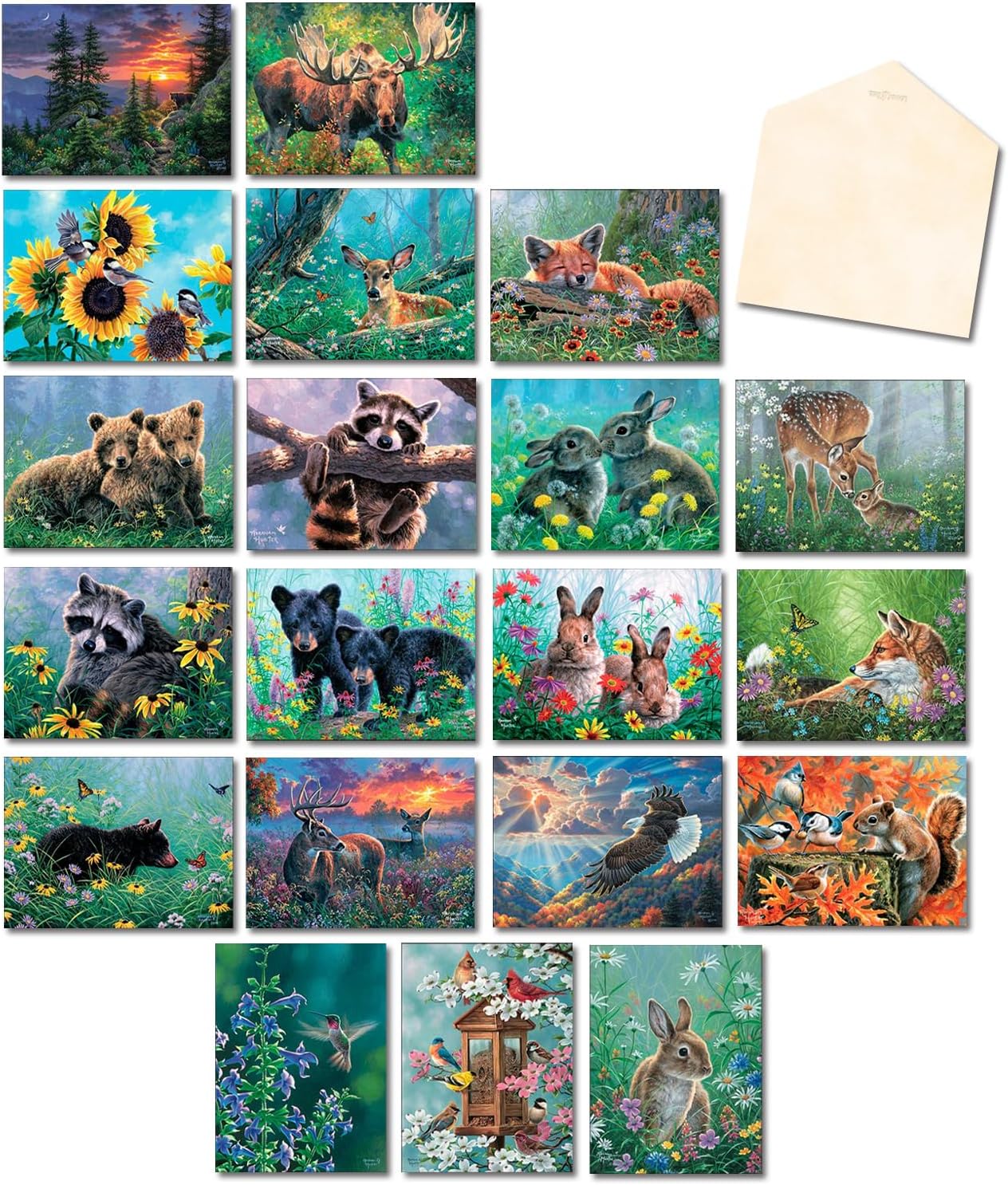 Amazon.com : Leanin' Tree, Nature's Wonders, Greeting Cards Assortment ...