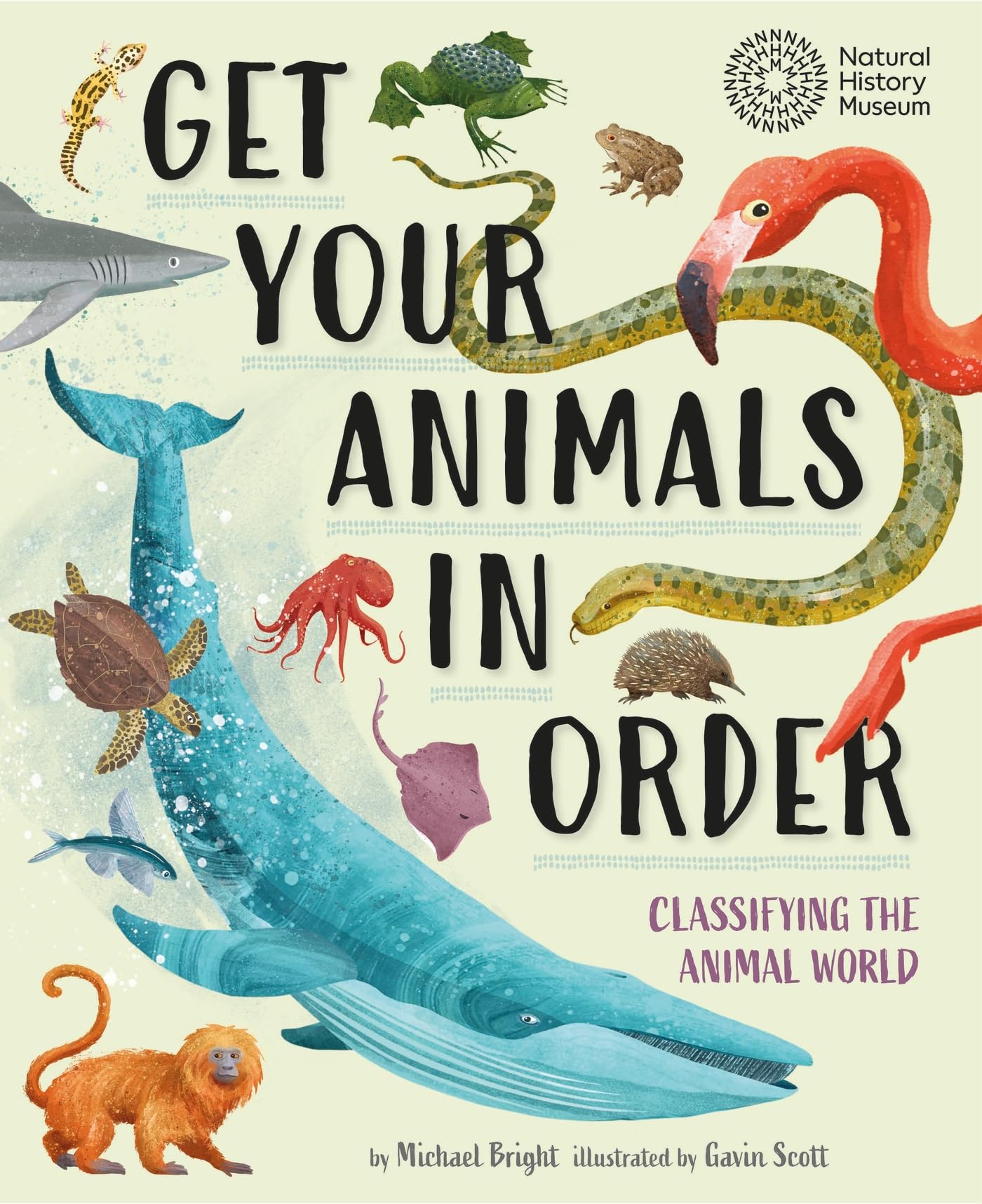 Get Your Animals in Order: Classifying the Animal World: Amazon.co.uk ...