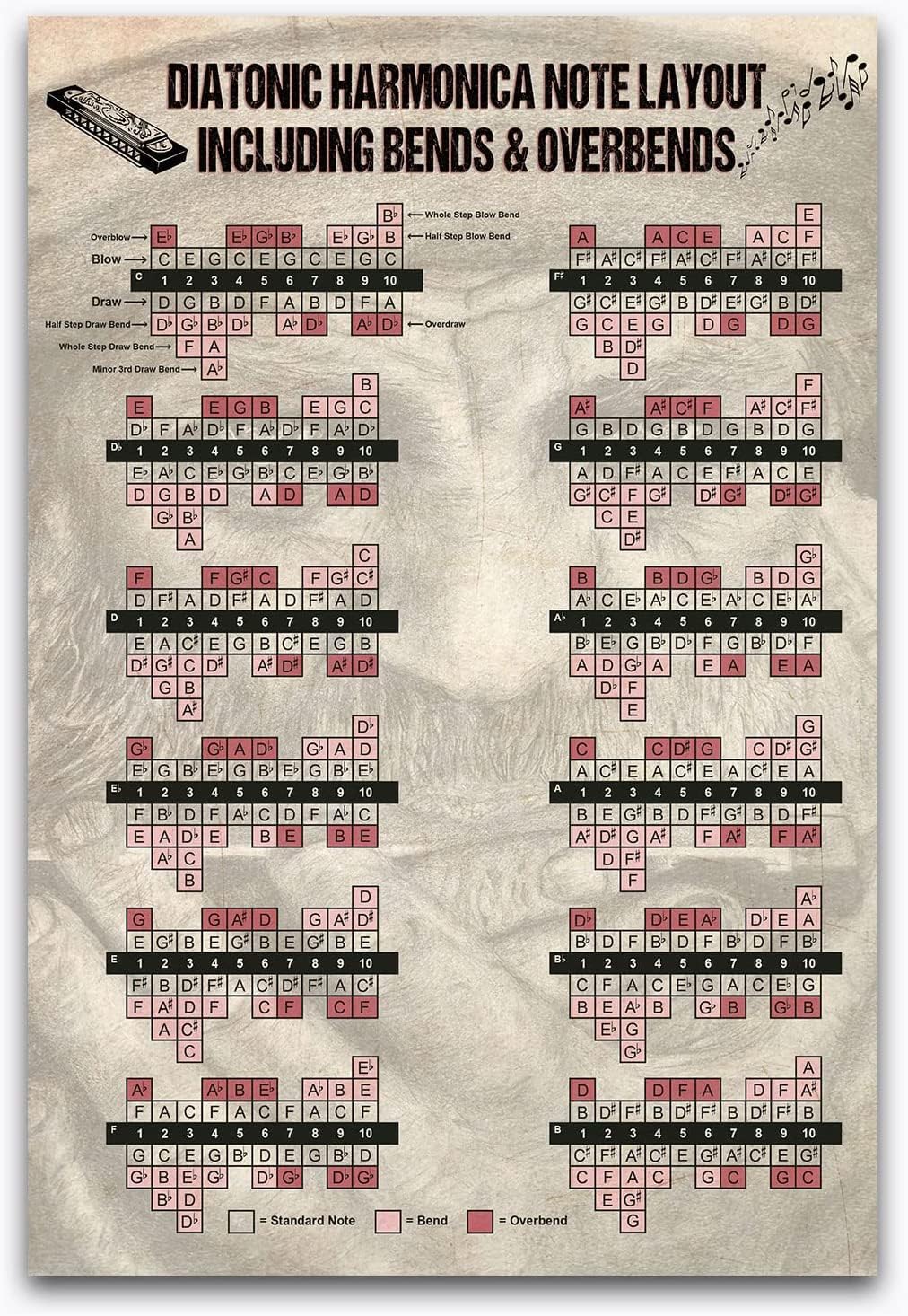 Amazon.com: ESETASOT Harmonica Knowledge Metal Sign Vintage Music ...