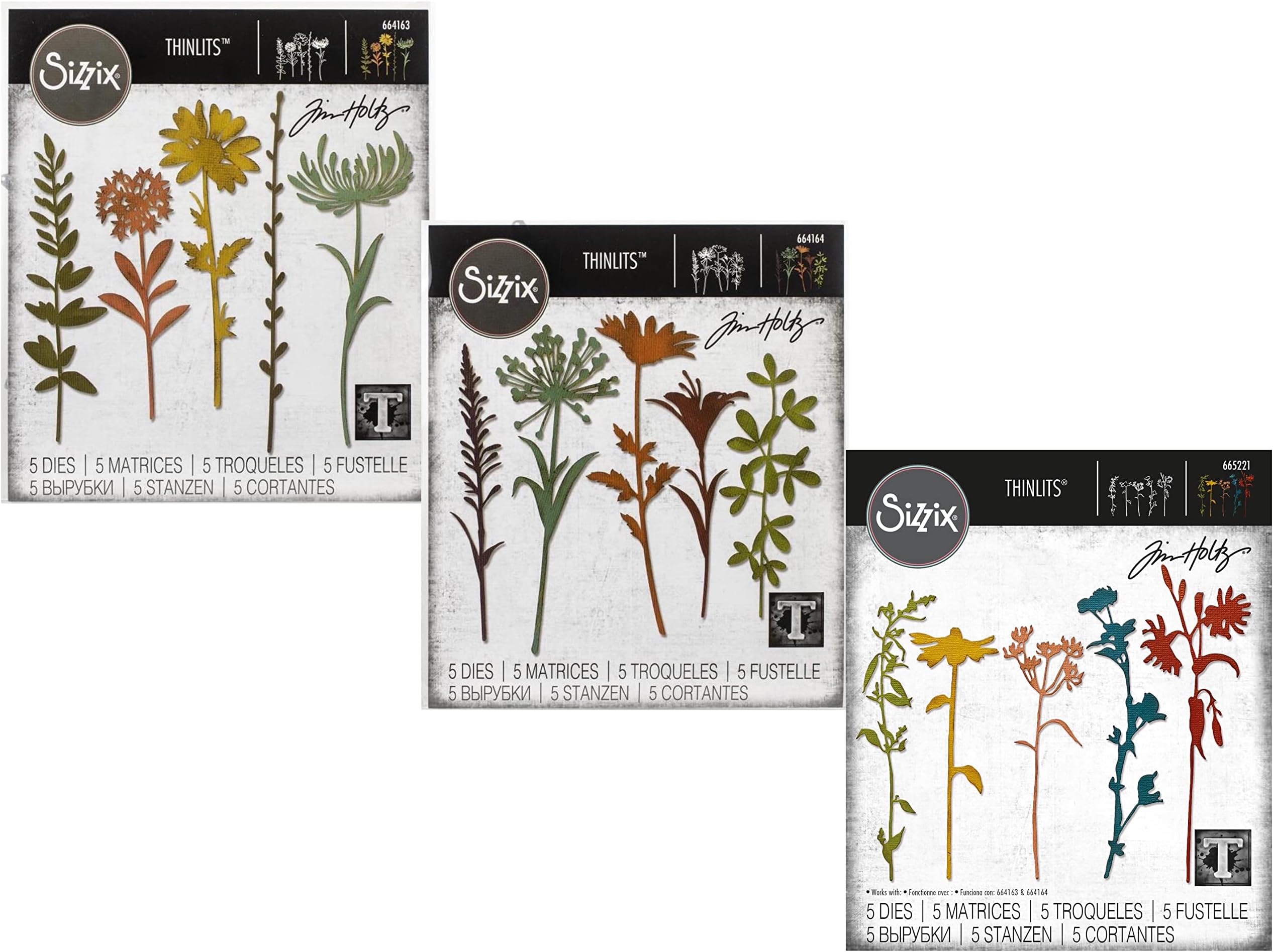 Amazon.com: Tim Holtz Sizzix Wildflower Stems Thinlits Dies #1, 2, 3 ...