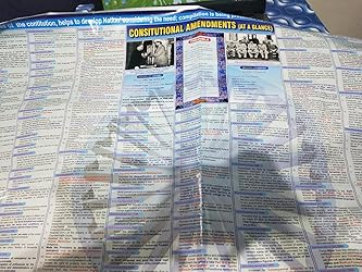 Buy Constitutional Amendments Act **PLASTIC COATED** (Updated upto ...