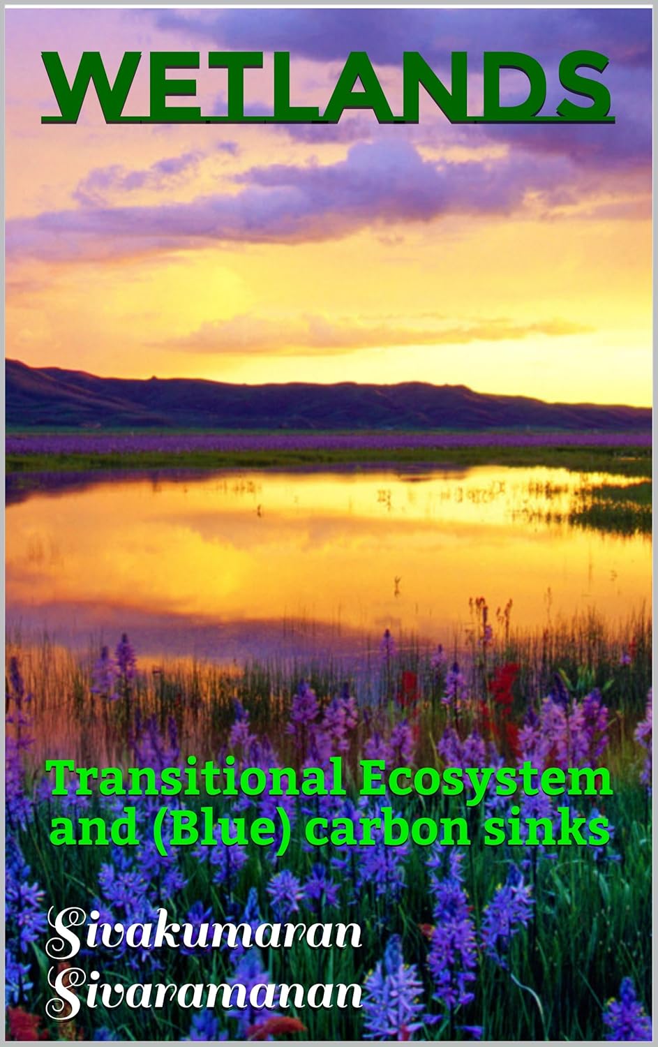 Wetlands: Transitional Ecosystem and (Blue) carbon sinks , Sivaramanan ...
