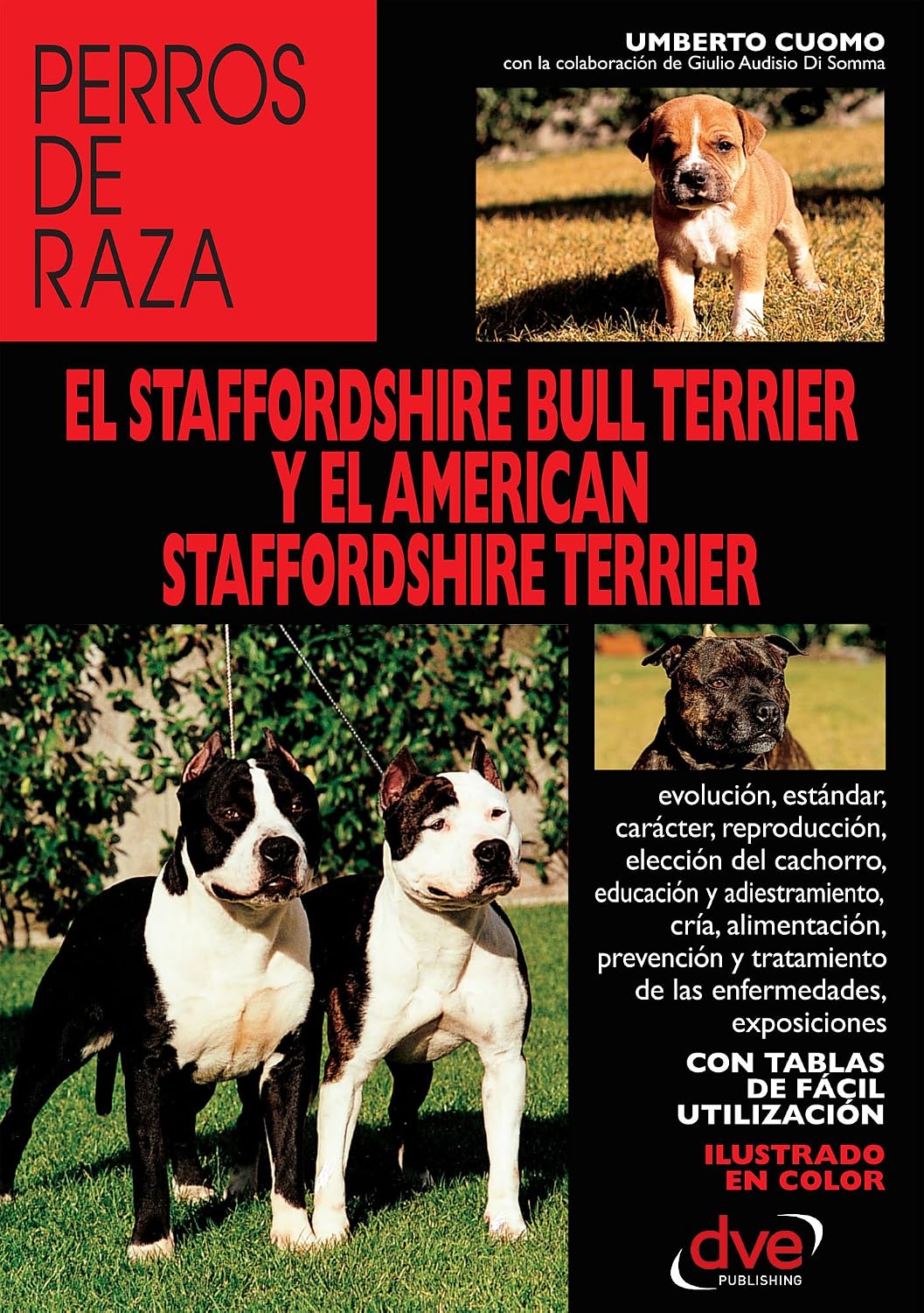 El staffordshire bull terrier y el american staffordshire terrier ...