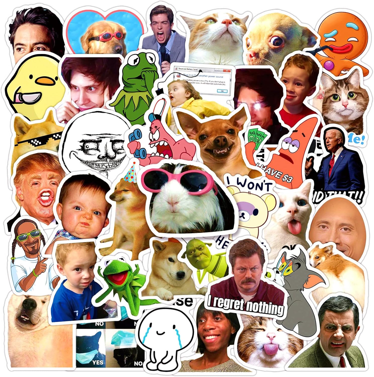 50PCS Meme Stickers Packs for Water Bottles, Laptop, Skateboard Trendy ...