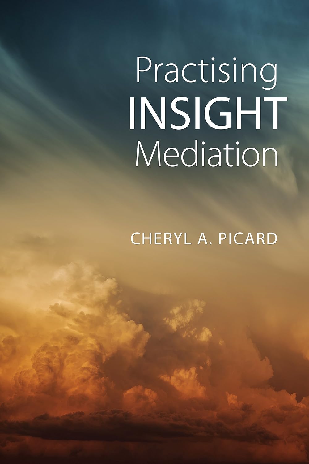 Practising Insight Mediation - Kindle edition by Picard, Cheryl A ...