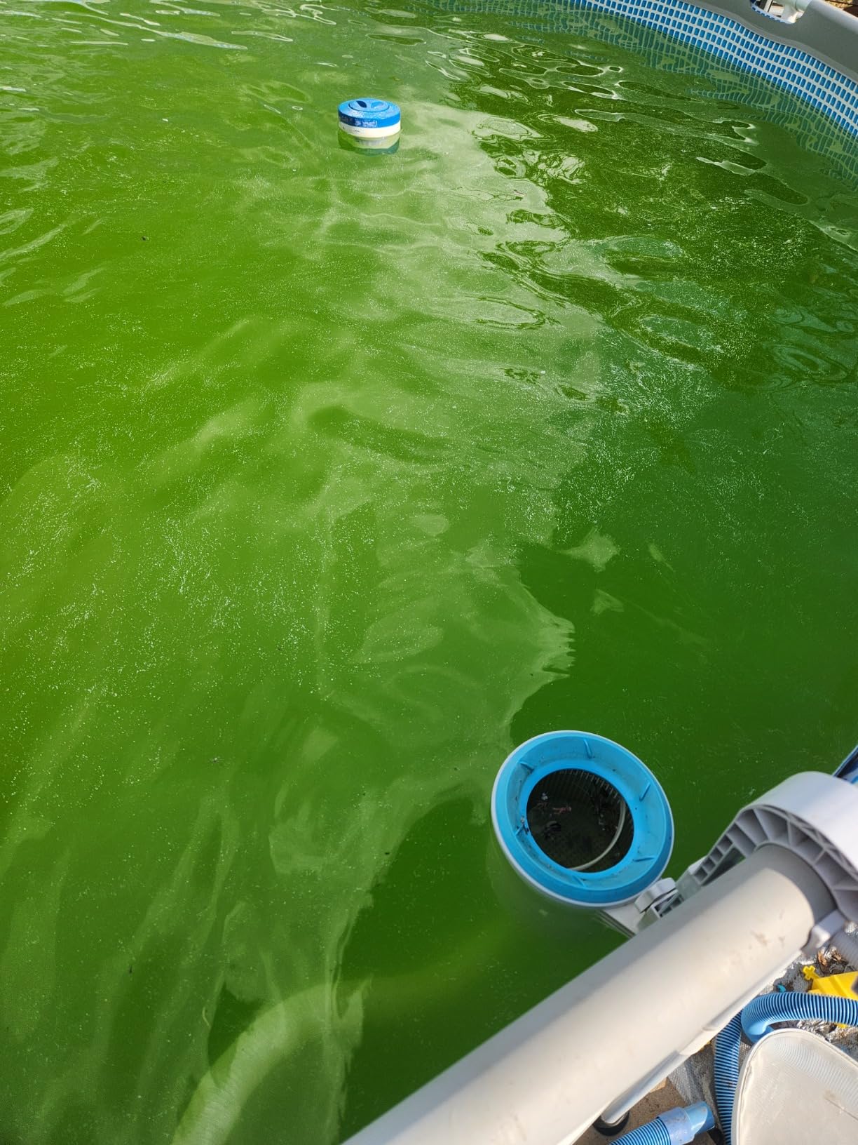 $6/mo - Finance HTH 52038 Swimming Pool Care Green to Blue, Advanced ...