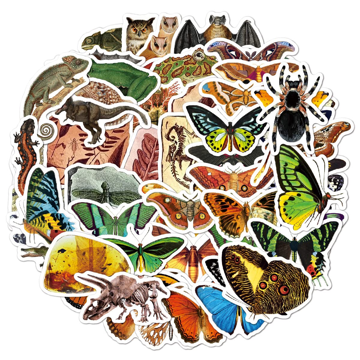 Amazon.com: 100pcs Stickers Pack, Cute Stickers for Water Bottle Phone ...