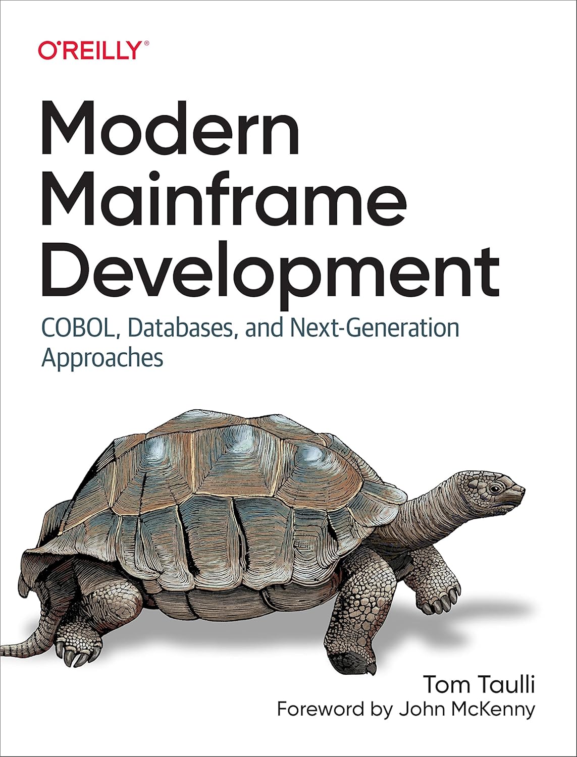 Modern Mainframe Development: COBOL, Databases, and Next-Generation ...