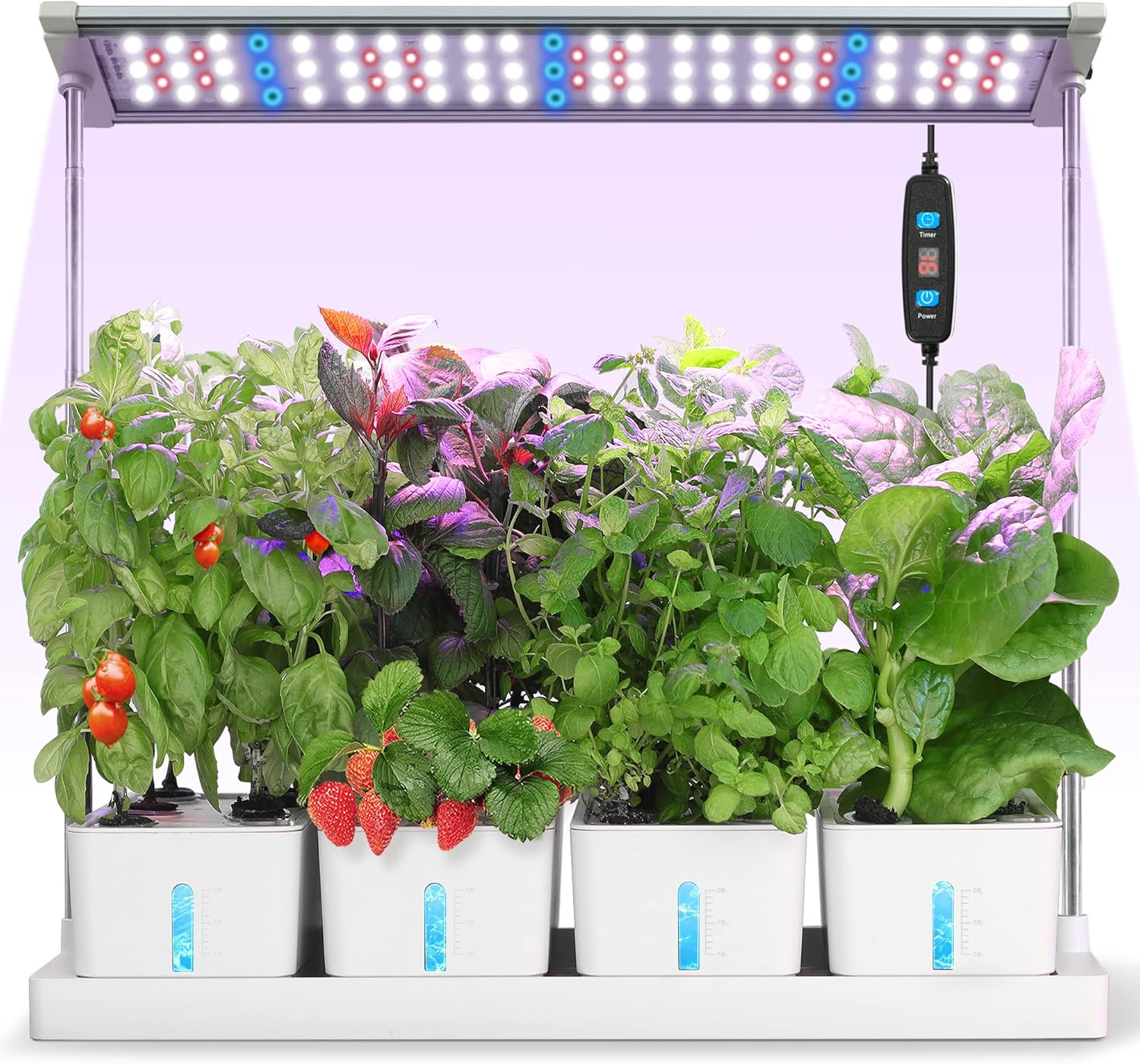 Amazon.com: 20 Pods Hydroponics Growing System, Herb Garden Kit Indoor ...