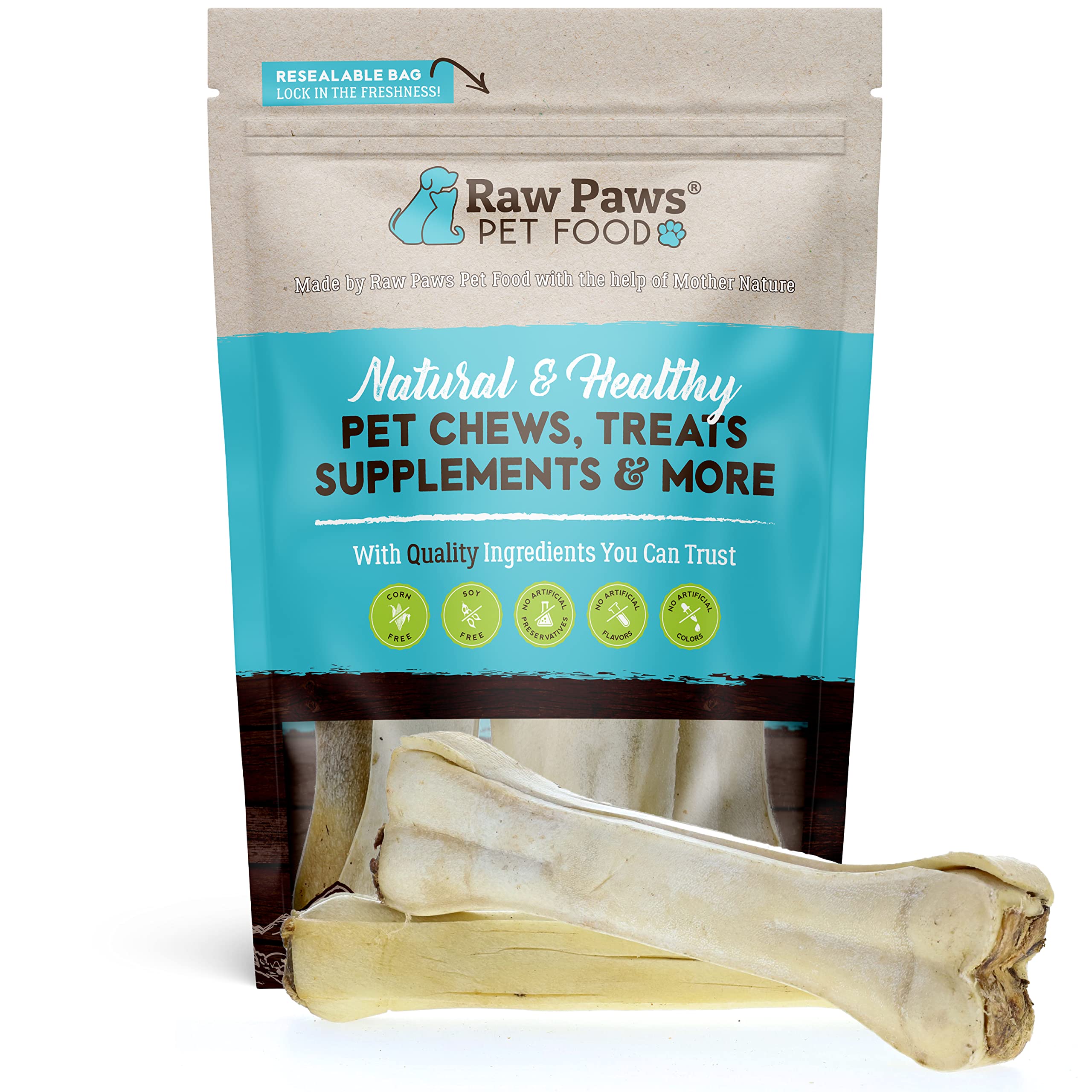 What Dog Breeds Hide Bones