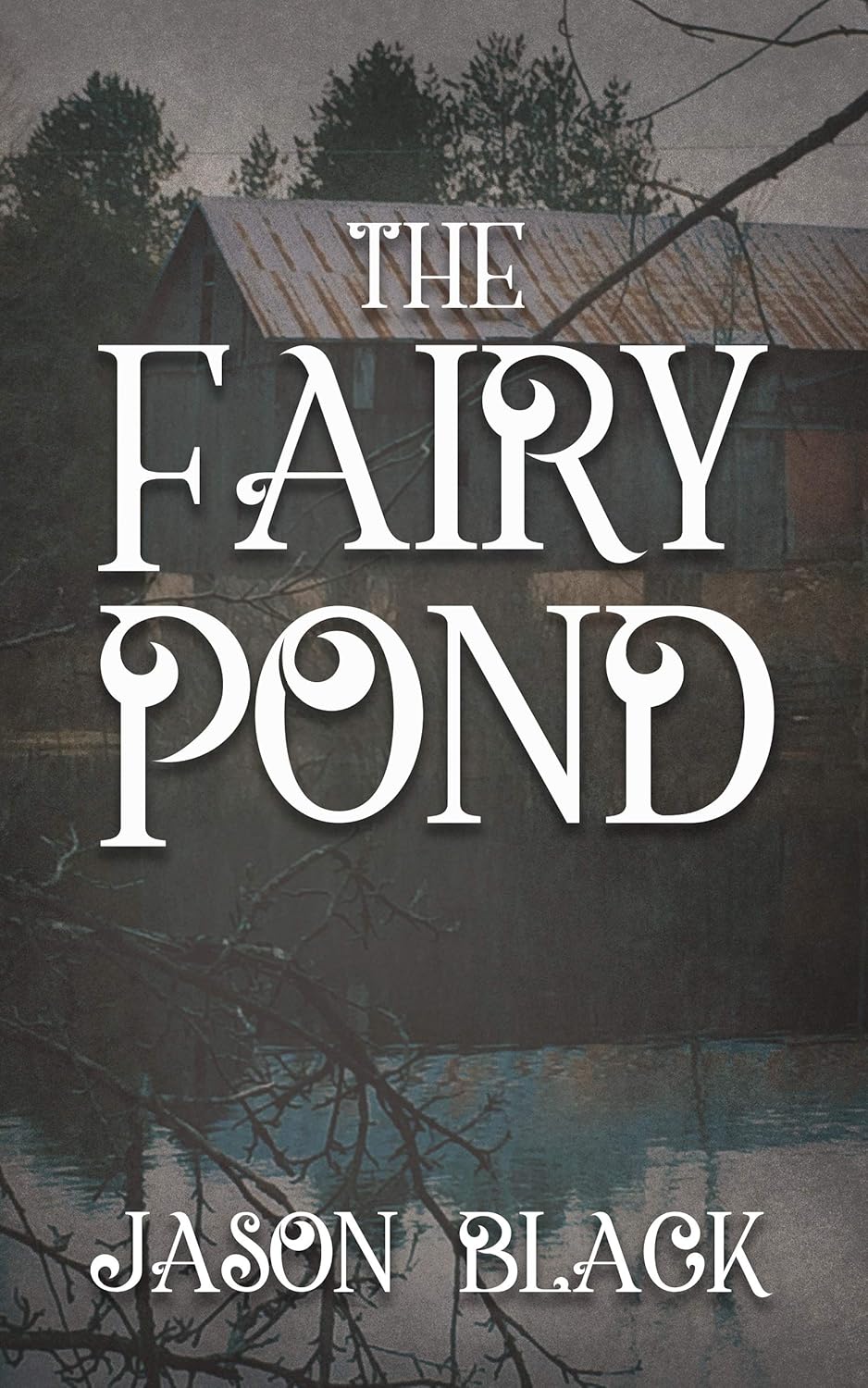 Amazon.com: The Fairy Pond eBook : Black, Jason: Kindle Store